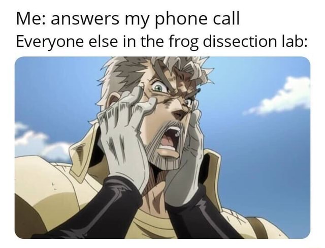 Me: answers my phone call - iFunny