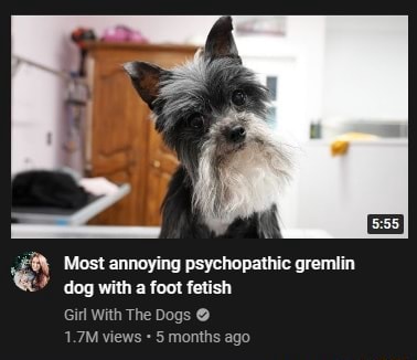 Most annoying psychopathic gremlin dog with a foot fetish Girl With The ...