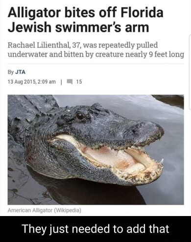 Alligator bites off Florida Jewish swimmer's arm Rachael Lilienthal, 37 ...