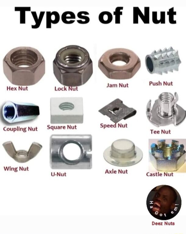 Types of Nut Push Nut Hex Nut Lock Nu Jam Nut Coupling Nut Square Nut ...