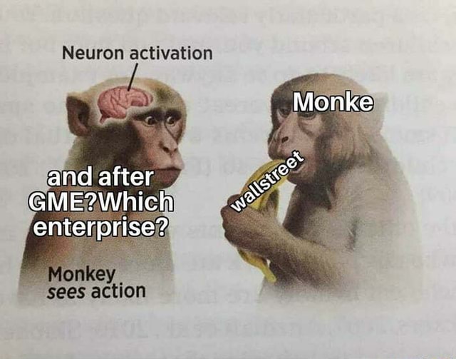 Neuron activation and after enterprise? Monkey Sees action - iFunny