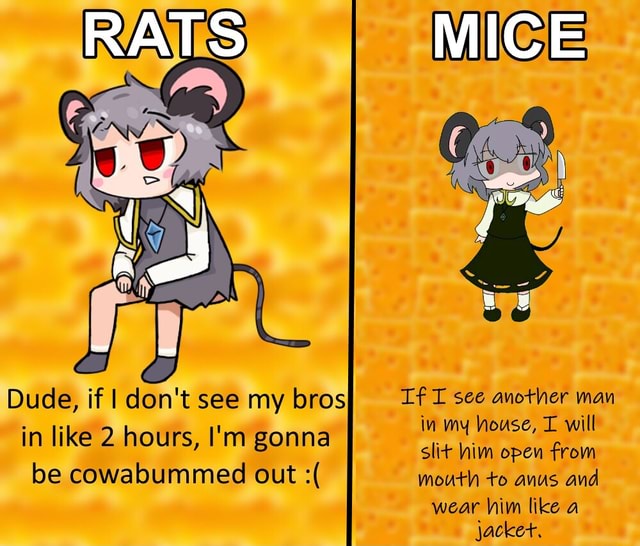 RAILS MICE Dude, if I don't see my bros If see another man in my house ...