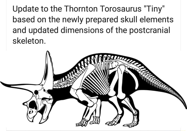 Update to the Thornton Torosaurus "Tiny" based on the newly prepared ...
