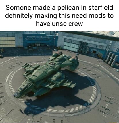 Somone made a pelican in starfield definitely making this need mods to ...