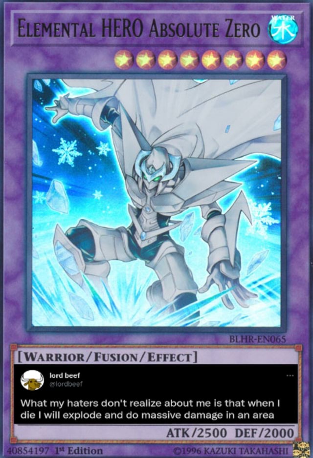 "ELEMENTAL HERO ABSOLUTE ZERO BB [ WARRIOR / FUSION / EFFECT] & lord ...