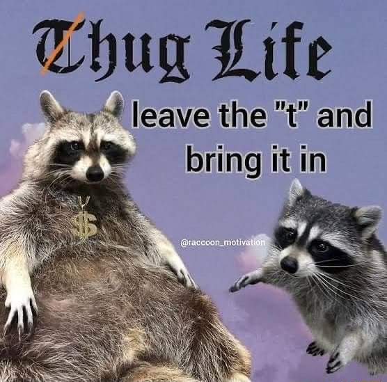 Chug Life leave the "t" and bring it in - iFunny