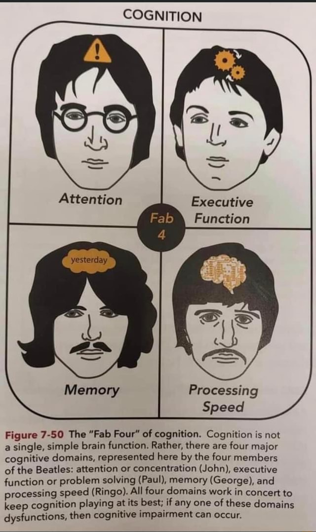 Science diagrams that look like shitposts - COGNITION Attention ...