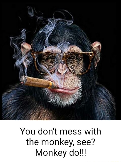 You don't mess with the monkey, see? Monkey do!!! - iFunny