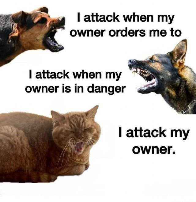 I attack when my owner orders me to if I attack when my owner is in ...