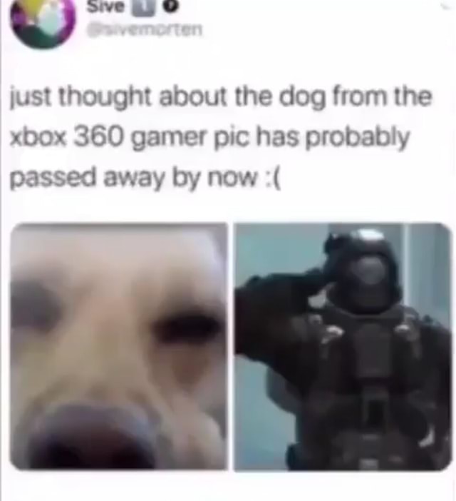 Just thought about the dog from the xbox 360 gamer pic has probably ...