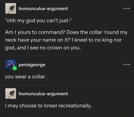 Homunculus-argument "ohh my god you can't just-" Am I yours to command ...