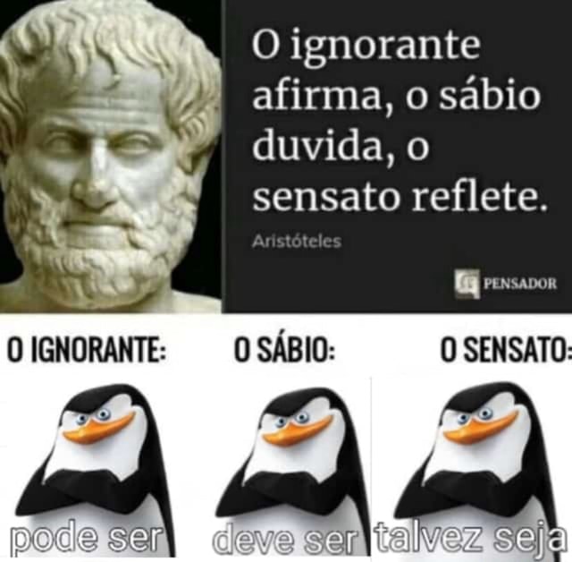 O ignorante I afirma, o sábio duvida, o sensato reflete. es PENSADOR ...