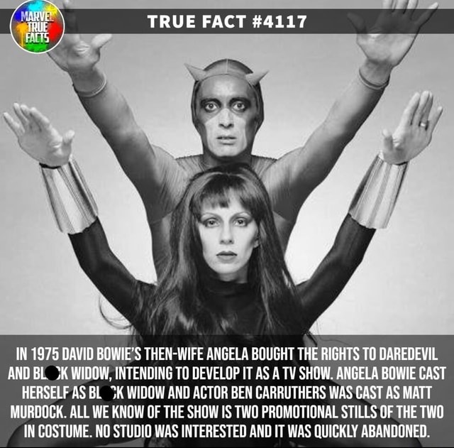 TRUE FACT #4117 IN 1975 DAVID BOWIE'S THEN-WIFE ANGELA BOUGHT THE ...