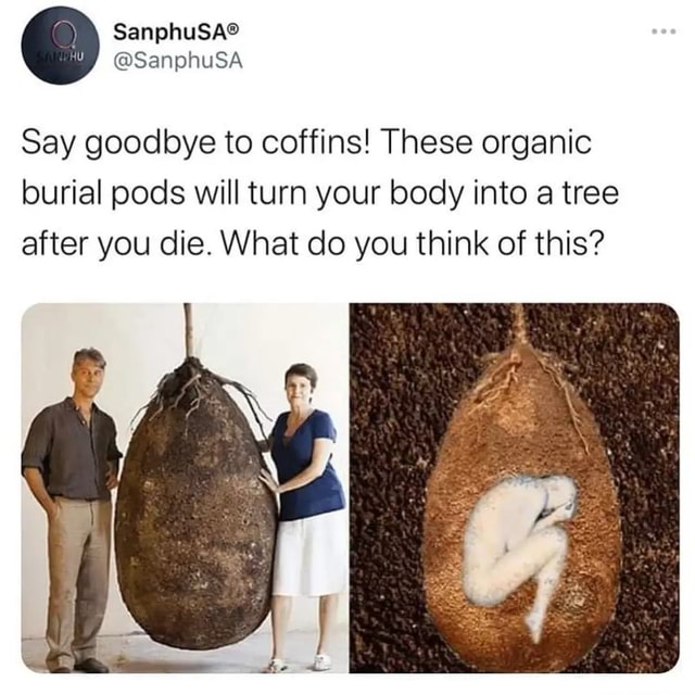 SanphuSse @SanphuSA Say goodbye to coffins! These organic burial pods ...