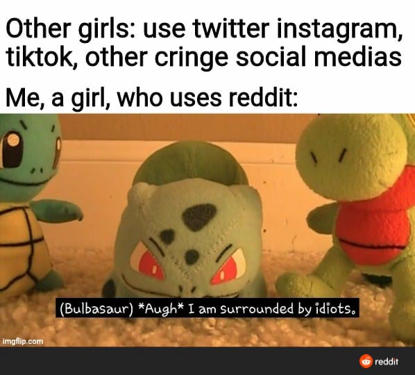 Other girls: use twitter instagram, tiktok, other cringe social medias ...