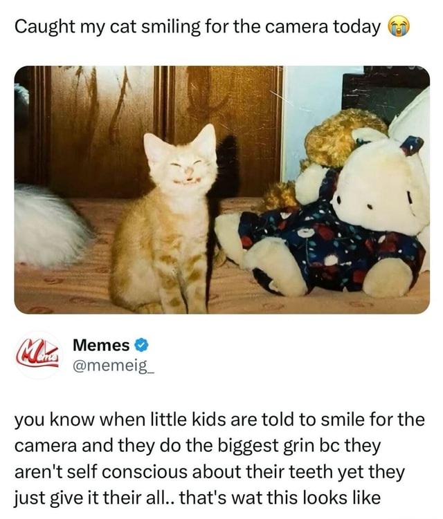 His baby teeth are coming in memes explore wholesome photography ...