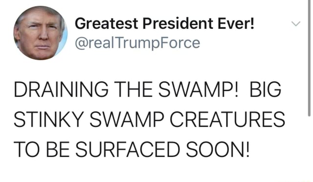 DRAINING THE SWAMP! BIG STINKY SWAMP CREATURES TO BE SURFACED SOON ...