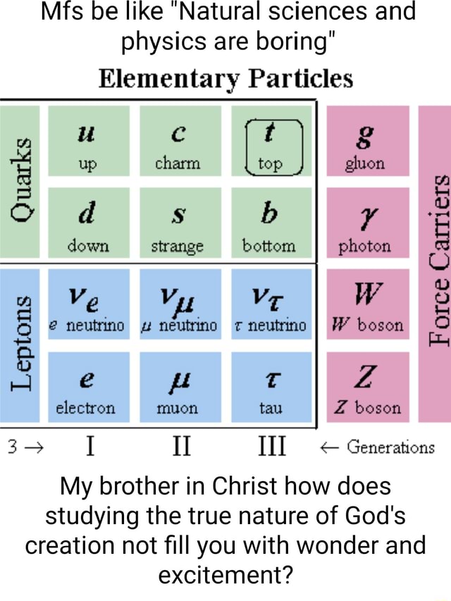 Mfs be like Natural sciences and physics are boring" Elementary ...