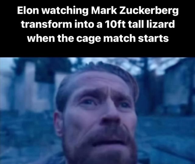 Elon watching Mark Zuckerberg transform into a 10ft tall lizard when ...