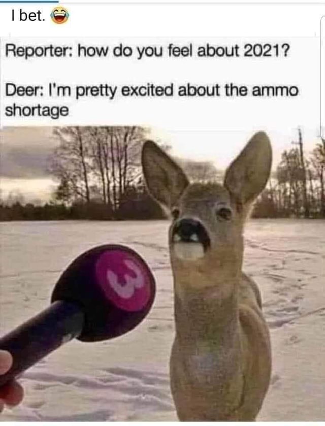 Bet. shortage Reporter: how do you feel about 20217 Deer: I'm pretty ...