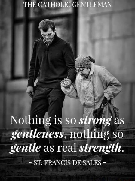 PROLIG ELESEAS Nothing is So strong as gentleness. nothing so gentle as ...