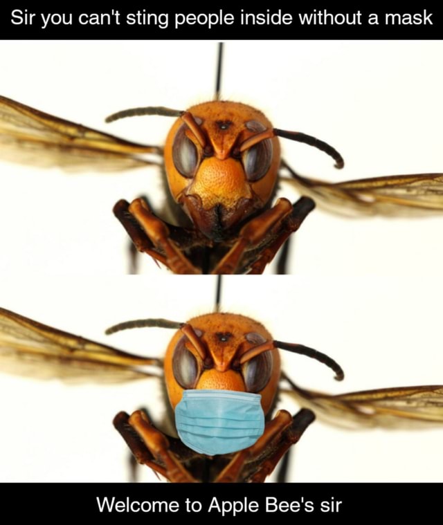 Sir you can't sting people inside without a mask Welcome to Apple Bee's ...