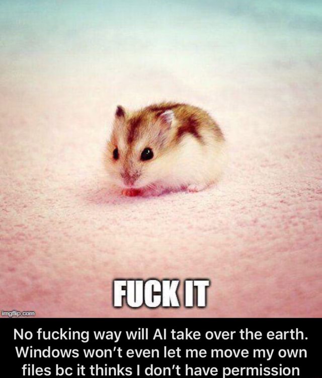 No fucking way will Al take over the earth. Windows won’t even let me ...
