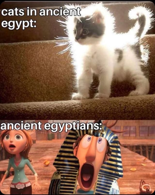 Cats in 'ancien egypt: ancient egyptians: ge - iFunny
