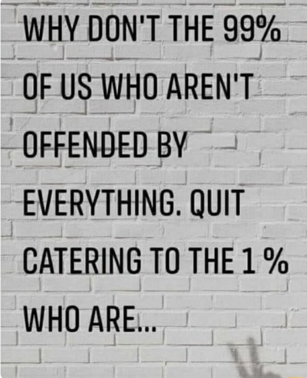 WHY DON'T THE 99% OF US WHO AREN'T OFFENDED BY EVERYTHING. QUIT ...