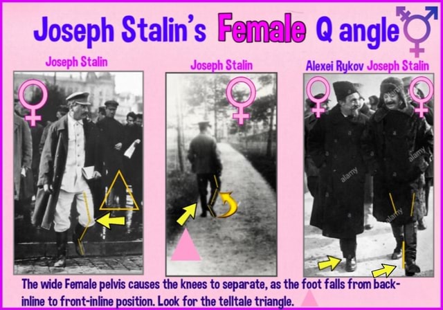 Joseph Stalin's Female Q angle Joseph Stalin Joseph Stalin Alexei Rykov ...