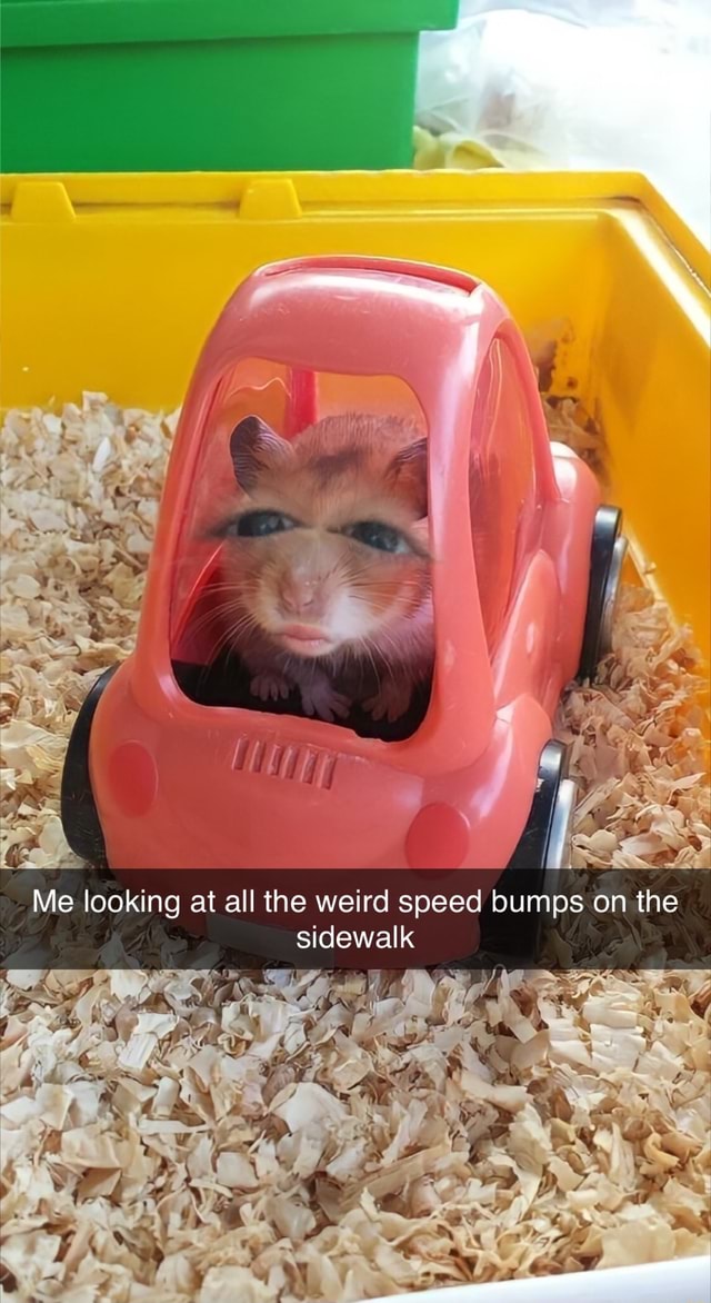 Peak humor - Me looking at all the weird speed bumps on the sidewalk ...