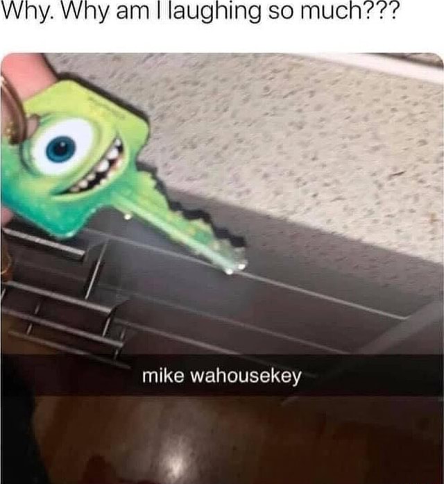 Why. Why am I laughing so much???' mike wahousekey - iFunny