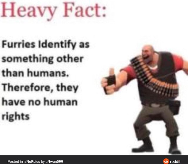 Heavy Fact: Furries Identify as something other than humans. Therefore ...