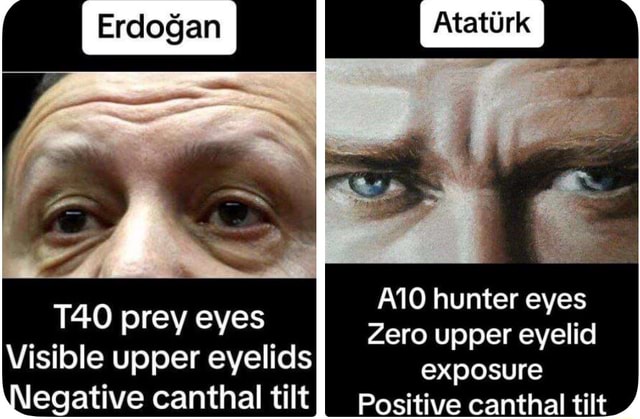 A110 hunter eyes Zero upper eyelid prey eyes Visible upper eyelids ...