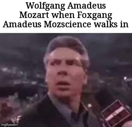 Wolfgang Amadeus Mozart when Foxgang Amadeus Mozscience walks in - iFunny