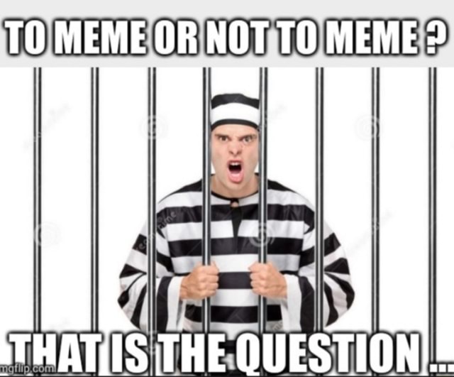 TO MEME OR NOT TO MEME ? THAT - iFunny