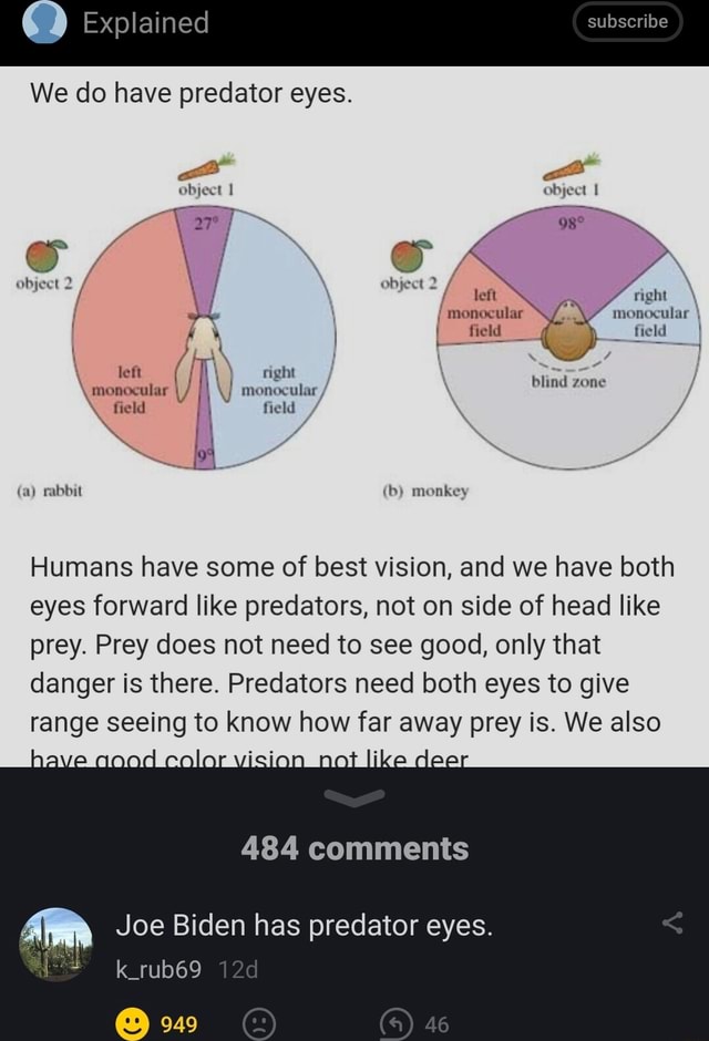 Explained We do have predator eyes. subscribe object I object I I ...