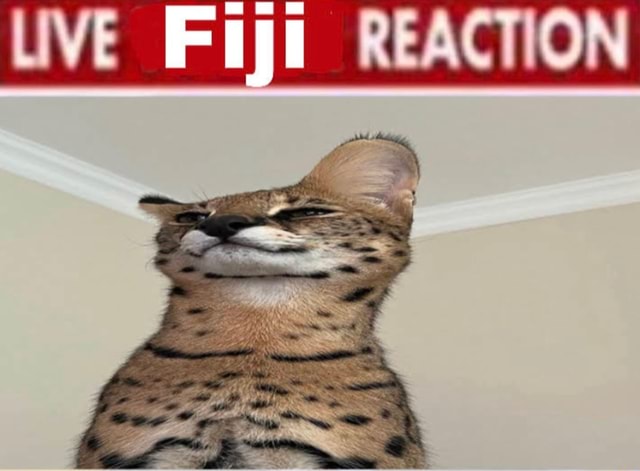 LIVE Fiji REACTION - iFunny