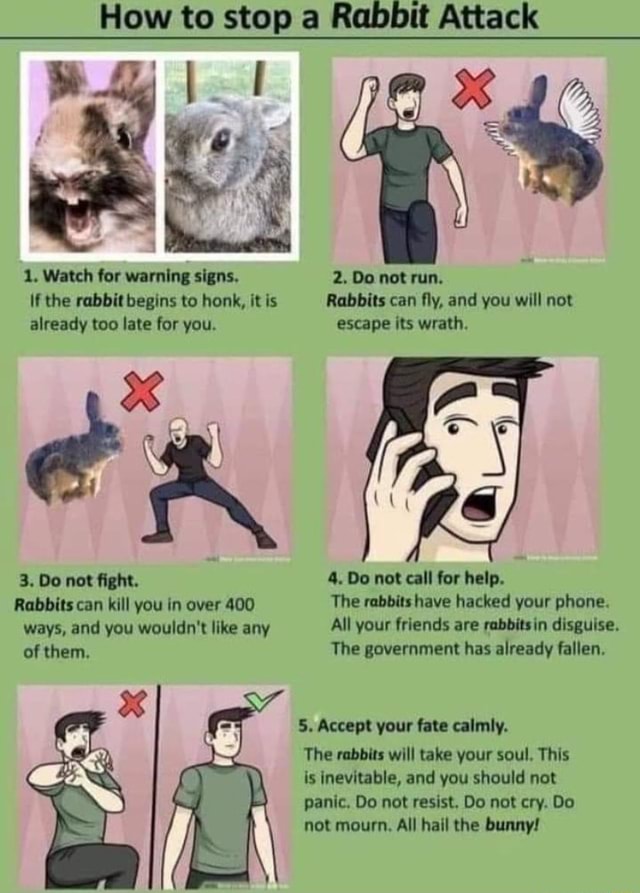 How to stop a Rabbit Attack 1. Watch for warning signs. 2. Do not run ...