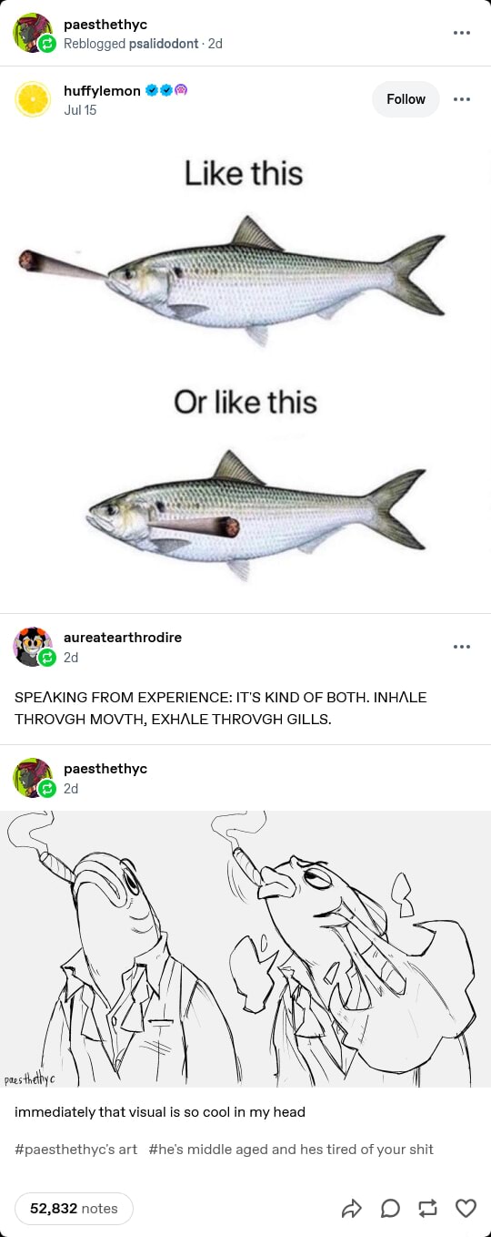 Fish rule - Fish rule paesthethyc Reblogged psalidodont huffylemon Jul ...