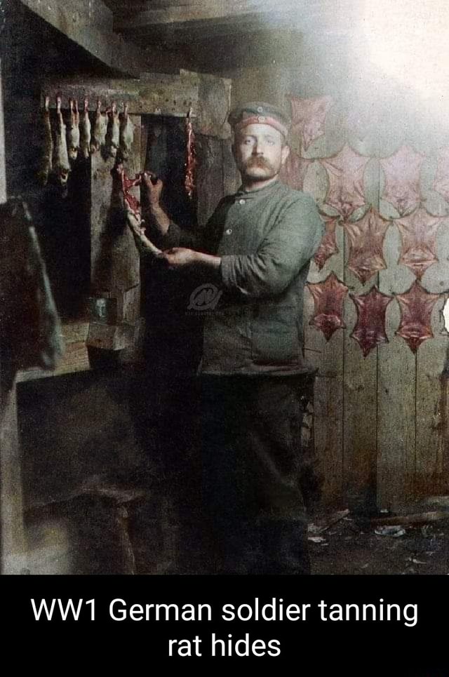 German soldier tanning rat hides - iFunny