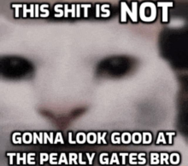 THIS Sally NOT GONNA LOOK GOOD AT THE PEARLY GATES BRO - iFunny