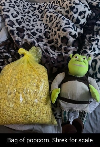 Bag of popcorn. Shrek for scale - iFunny