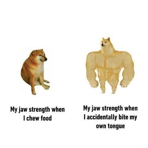My jaw strength when My jaw strength when I chew food laccidentally ...