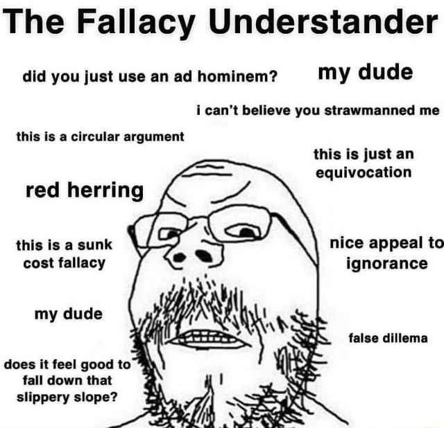 The Fallacy Understander did you just use an ad hominem? my dude i can ...