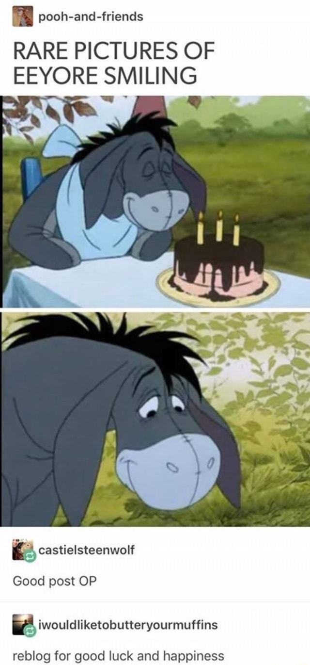 RARE PICTURES OF EEYORE SMILING l Good post OP - iFunny