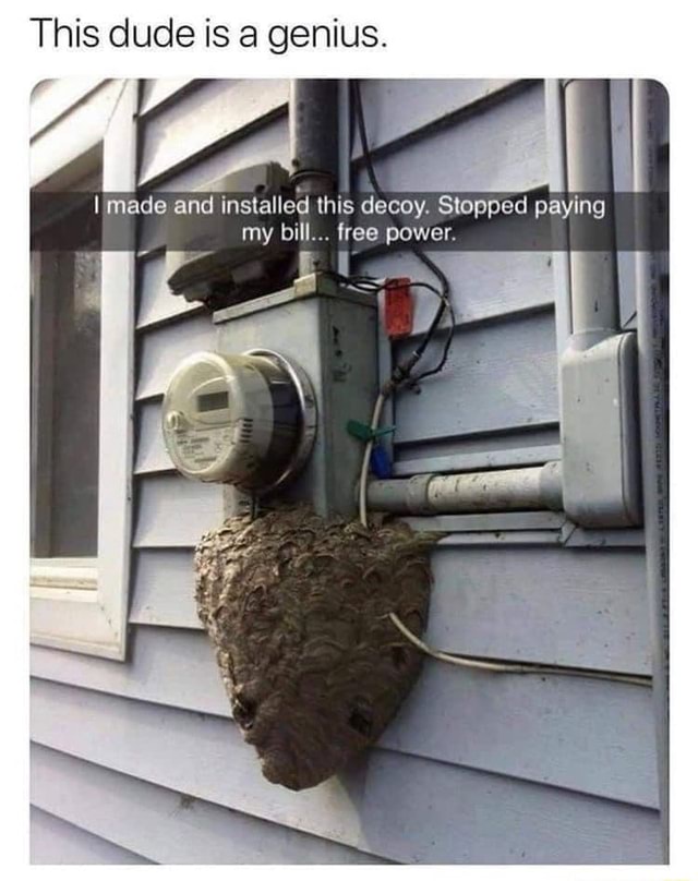 This dude is a genius. made and installed this decoy. Stopped paying my ...