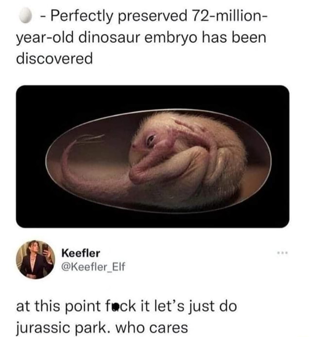 - Perfectly preserved 72-million- year-old dinosaur embryo has been ...