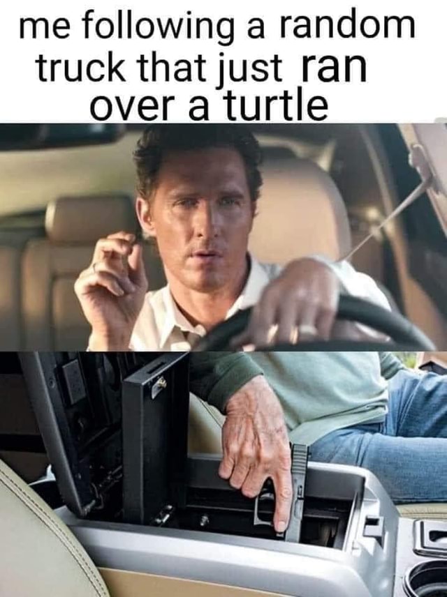 Me following a random truck that just ran over __a turtle - iFunny