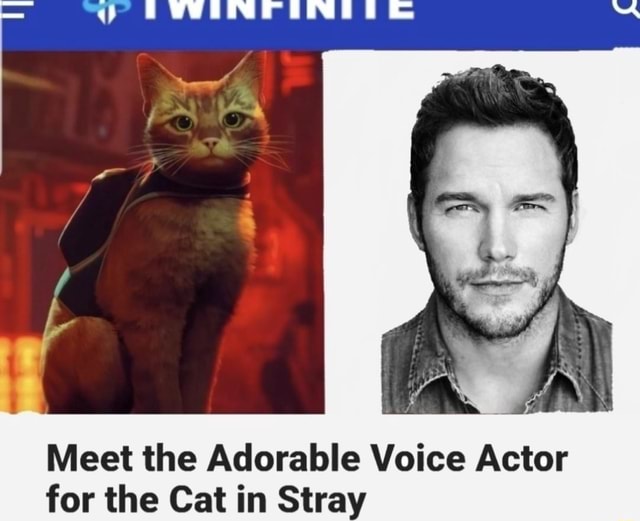 Ab Meet the Adorable Voice Actor for the Cat in Stray - iFunny